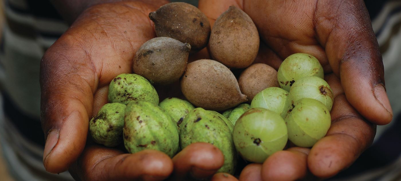 Pranic Ayurveda